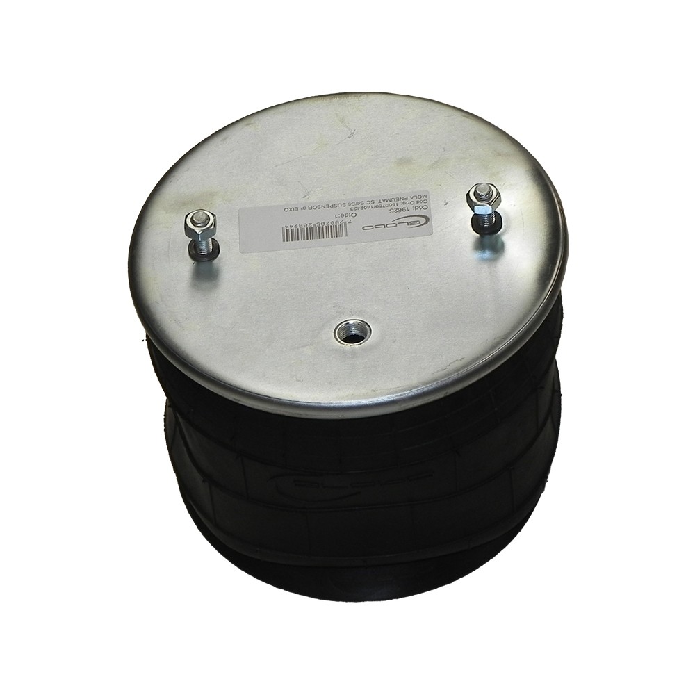 Bexiga Erguedor Eixo Scania R124 Serie 4 5 Erguedor 3o Eixo Com Rosca ...