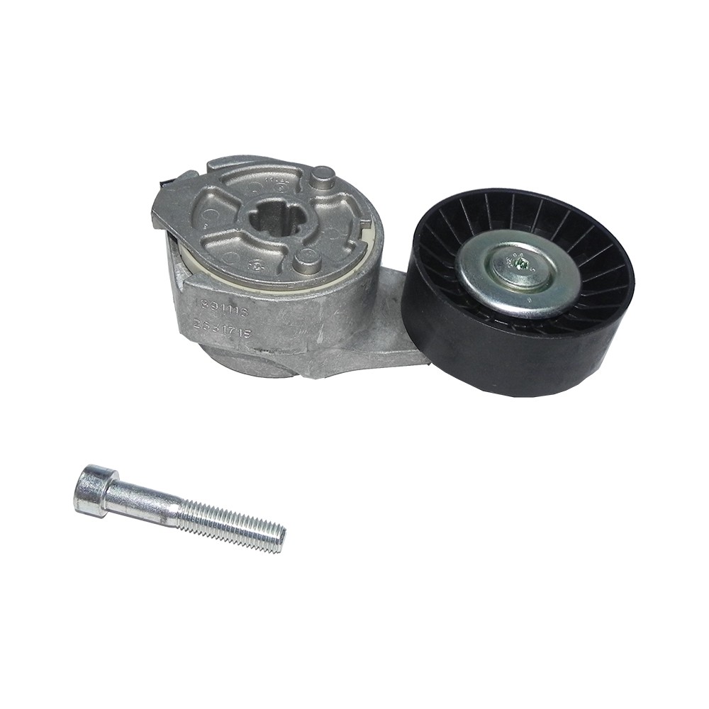 Esticador Correia Volkswagen Iveco 8 150E 24 250E 4891116