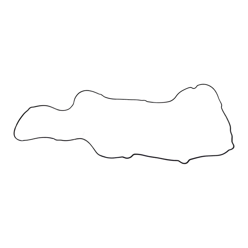 Junta Coletor Admissao Volvo Fh12 D13A D13B 20805850