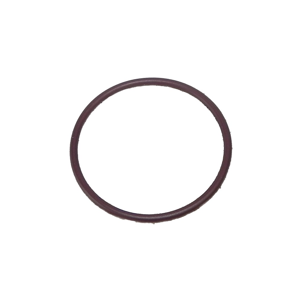 Anel Vedacao Porta Injetor International 9800 3070136