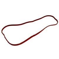 Anel Vedacao Modulo Cummins Volks Ford Iveco 24.250E 4896811